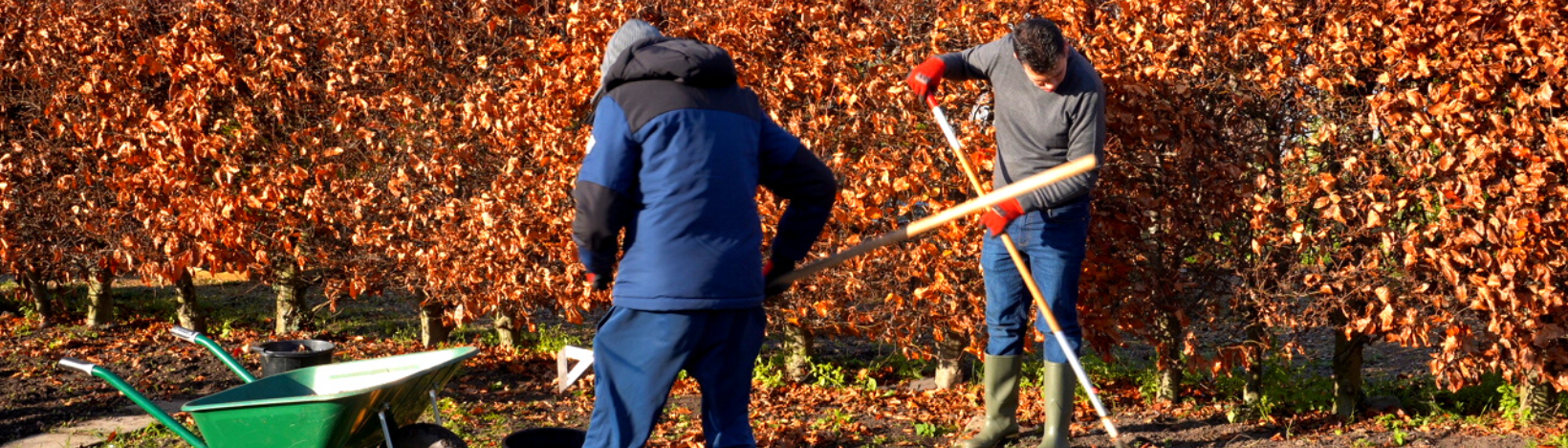 Home – Assist Trust